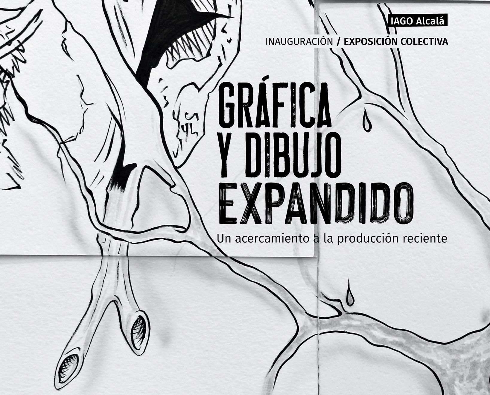 Gráfica y dibujo expandido