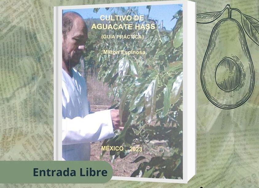 Cultivo de aguacate Hass