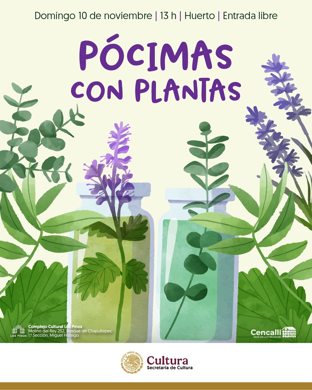 Pócimas con plantas