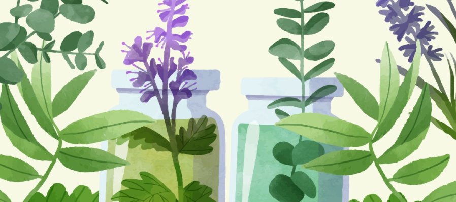 Pócimas con plantas