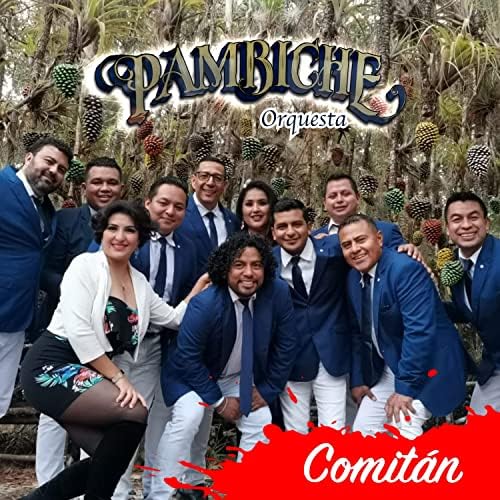 Pambiche Orquesta