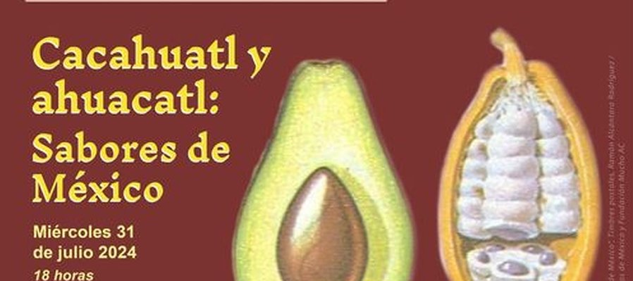 Cacahuatl y ahuacatl: Sabores de México
