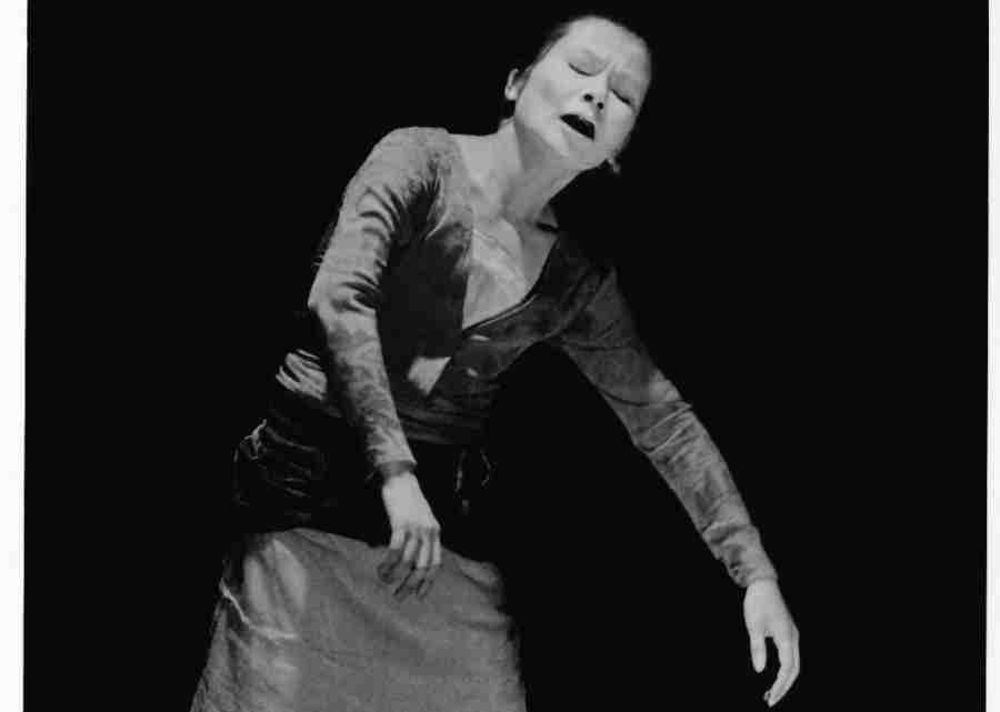 Al desaparecer van naciendo