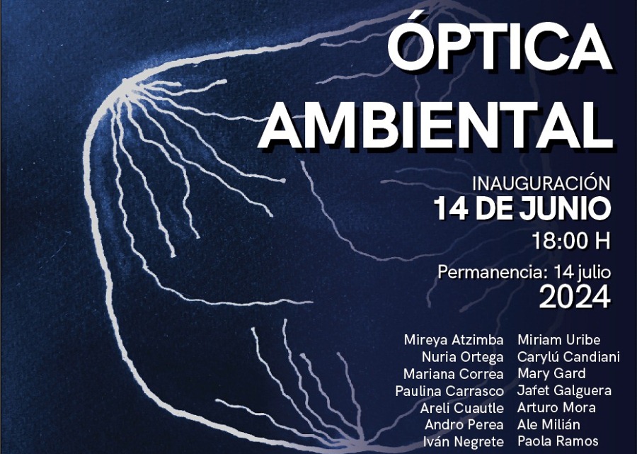 ÓPTICA AMBIENTAL