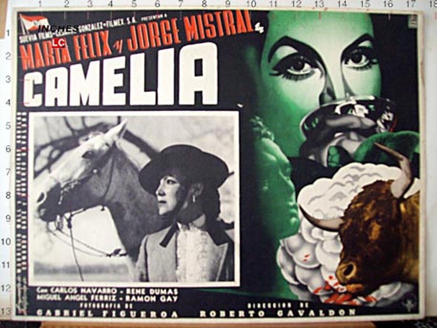 Camelia