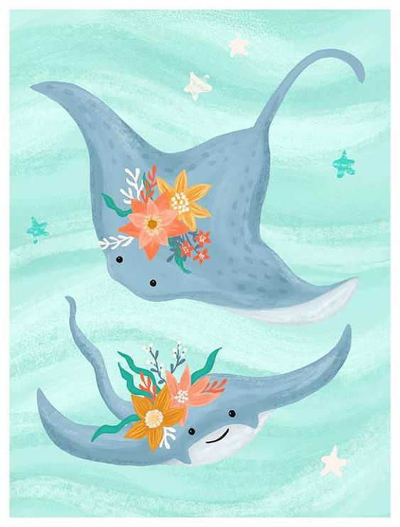 ¿Raya o mantarraya?