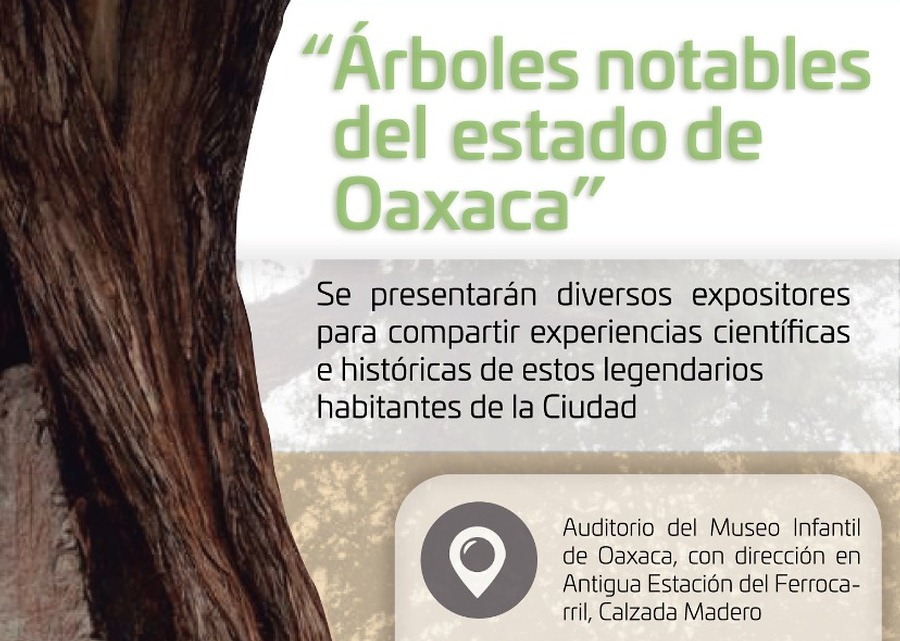 Arboles notables del estado de Oaxaca
