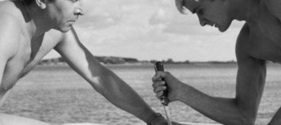 El cuchillo en el agua