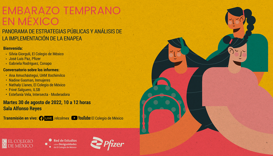 Embarazo temprano en México. Panorama de estrategias públicas y ...