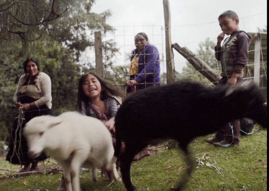 Formas de atravesar un territorio