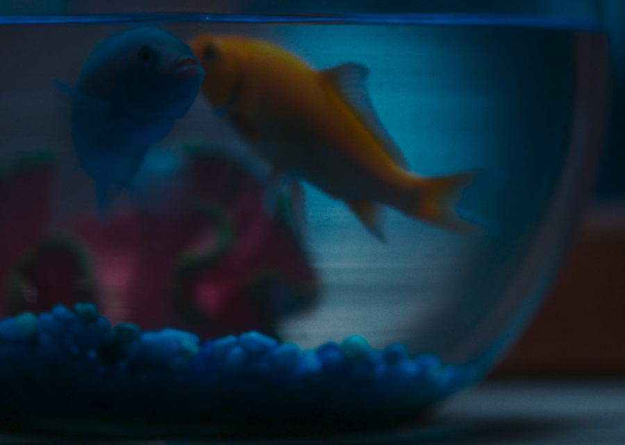 Como peces en el agua