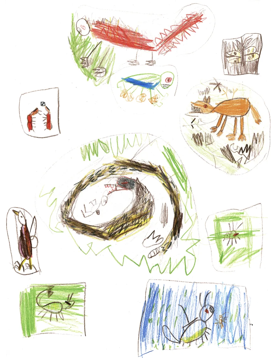 Vamos a aprender lenguas: Purépecha