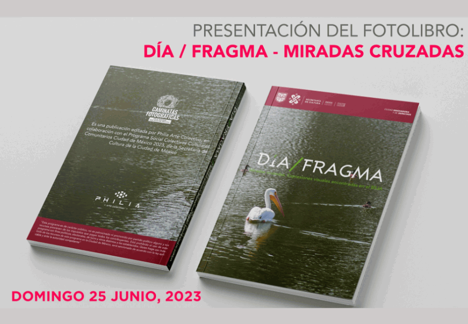 Día/ Fragma Miradas cruzadas