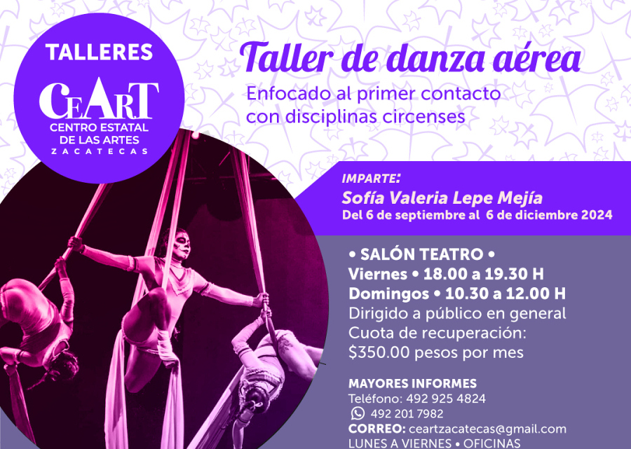 Taller de danza áerea