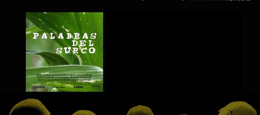 Palabras del surco