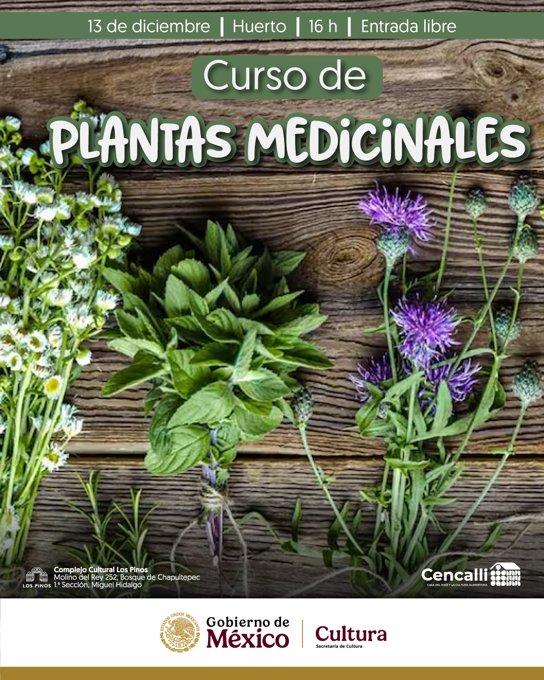 Plantas medicinales