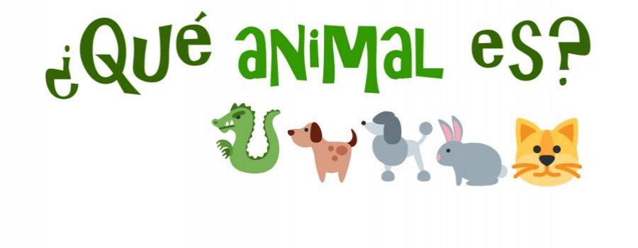 ¿Qué animal es?